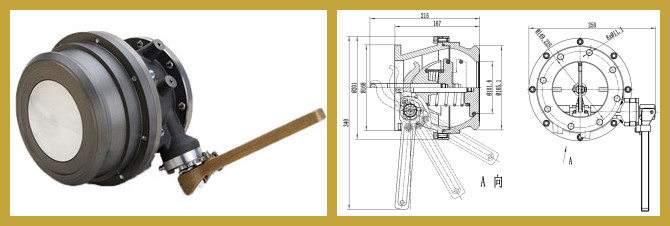 Fuel Unloading Valve & Delivery Elbow