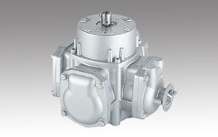 Flow Meter RSJ-50 for Fuel Dispenser